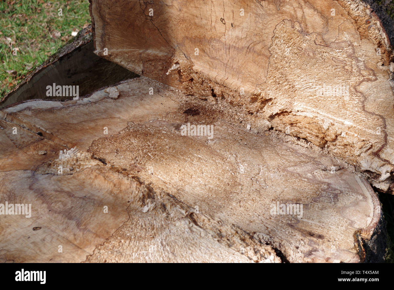 Dalmuir park hi-res stock photography and images - Alamy