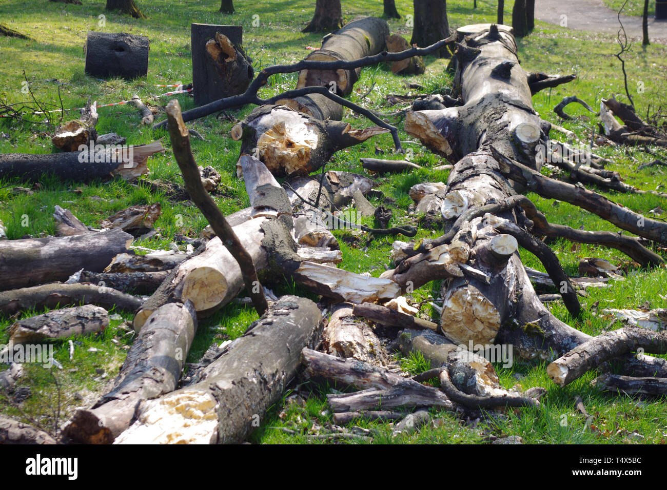 Dalmuir park hi-res stock photography and images - Alamy