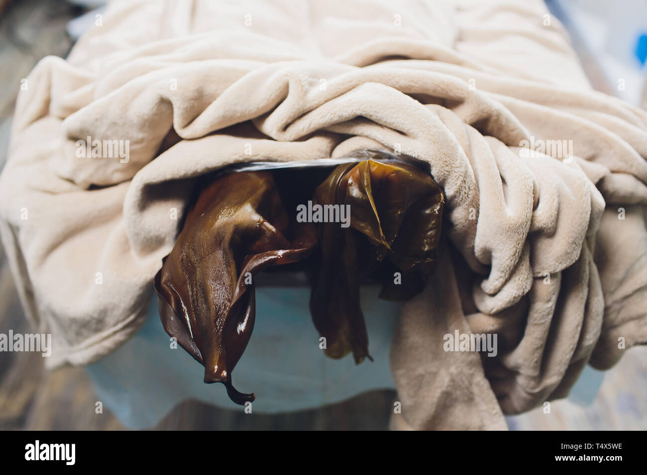 Woman body wrap beauty algae hi-res stock photography and images - Alamy