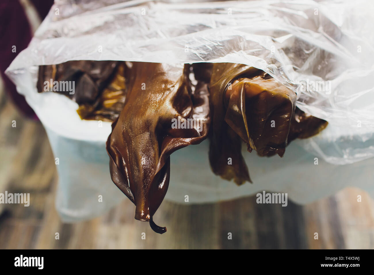 Spa treatment with algae. Woman on seaweed wraps at a spa salon ...