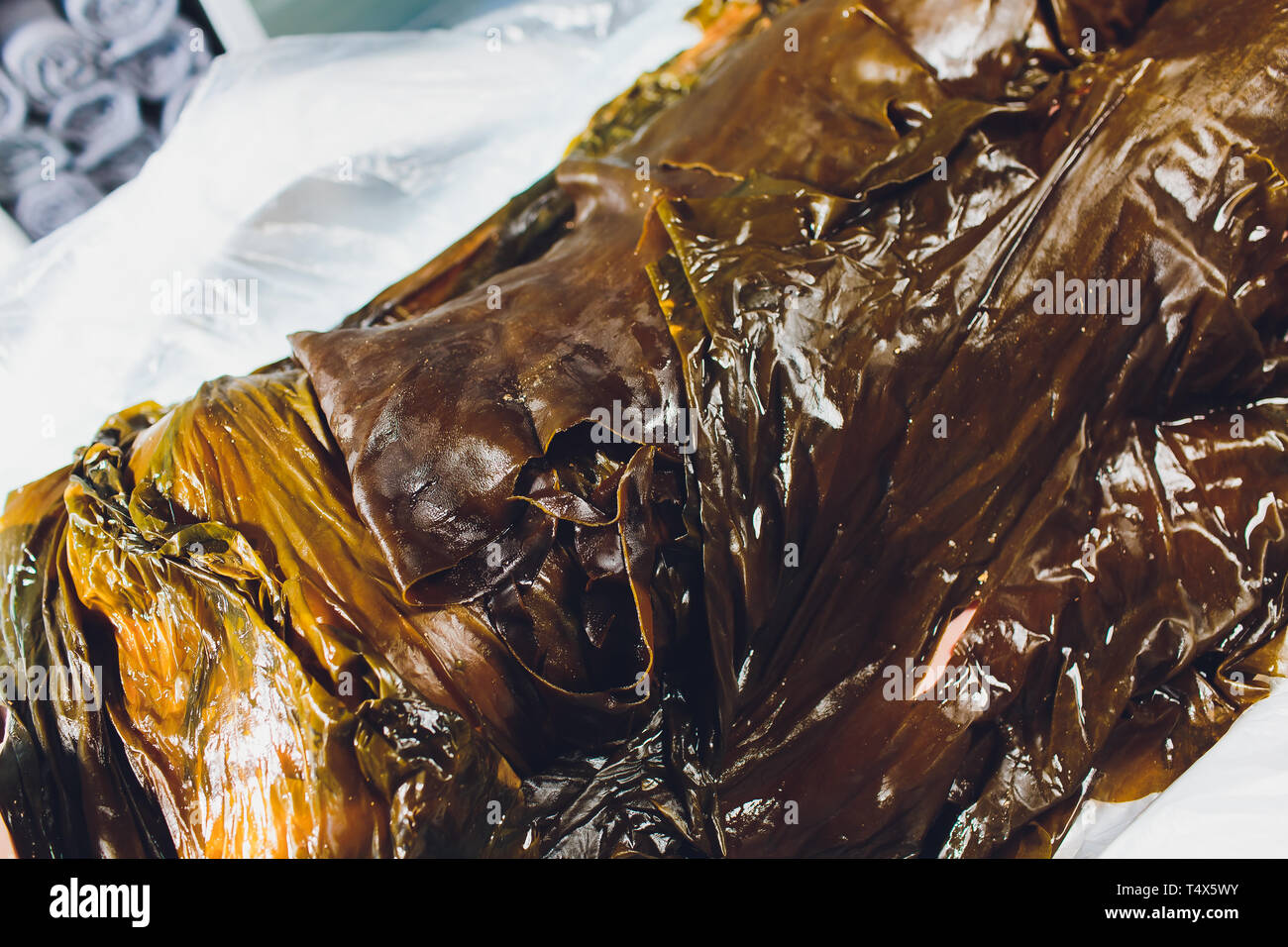 Woman body wrap beauty algae hi-res stock photography and images - Alamy