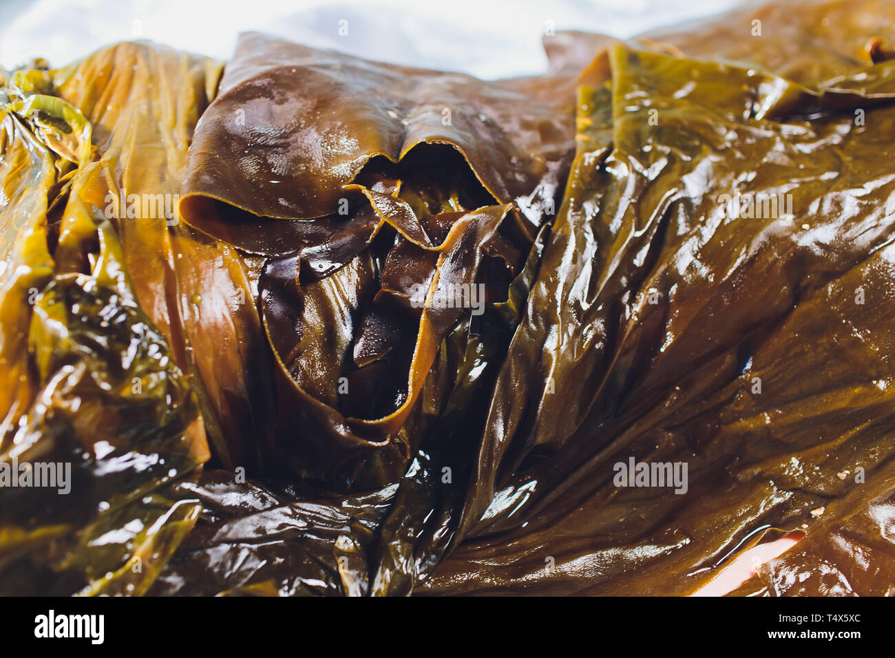 Spa treatment with algae. Woman on seaweed wraps at a spa salon ...