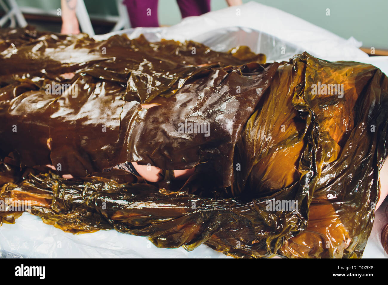Spa treatment with algae. Woman on seaweed wraps at a spa salon ...