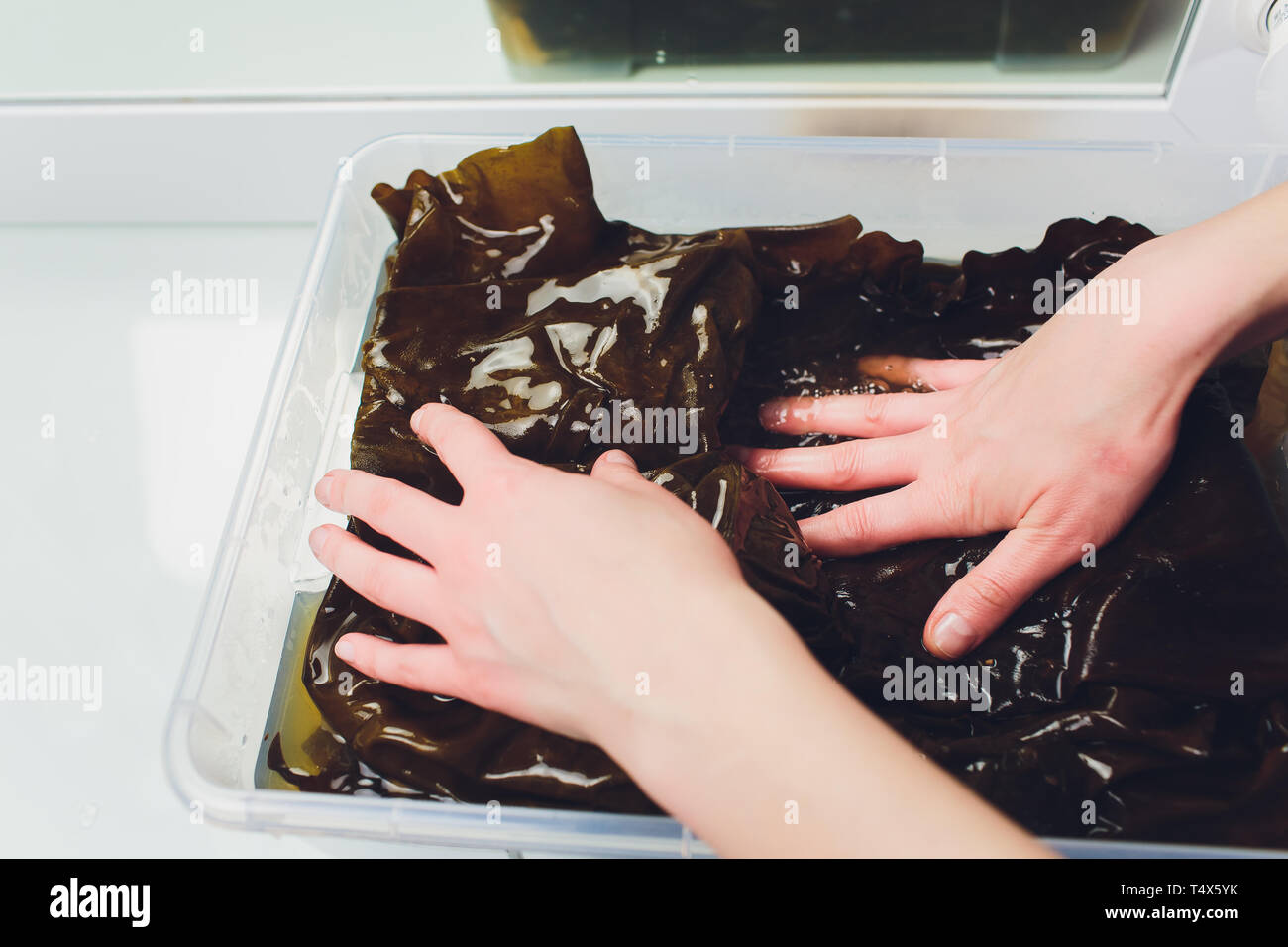 Spa treatment with algae. Woman on seaweed wraps at a spa salon ...