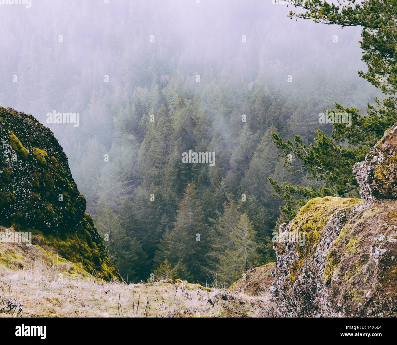 Don't Look Down Stock Photo - Alamy