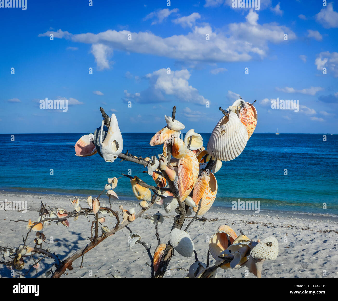 Southwest florida beaches hi-res stock photography and images - Alamy