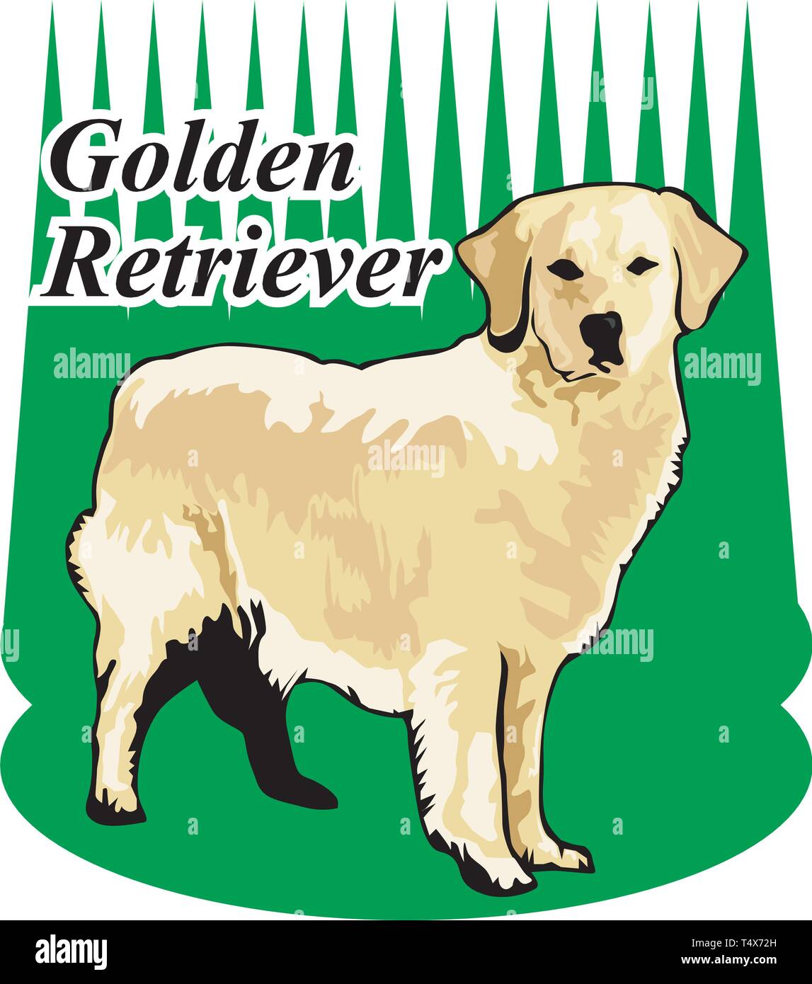 Golden Retriever Vector Illustration Stock Vector Image & Art - Alamy