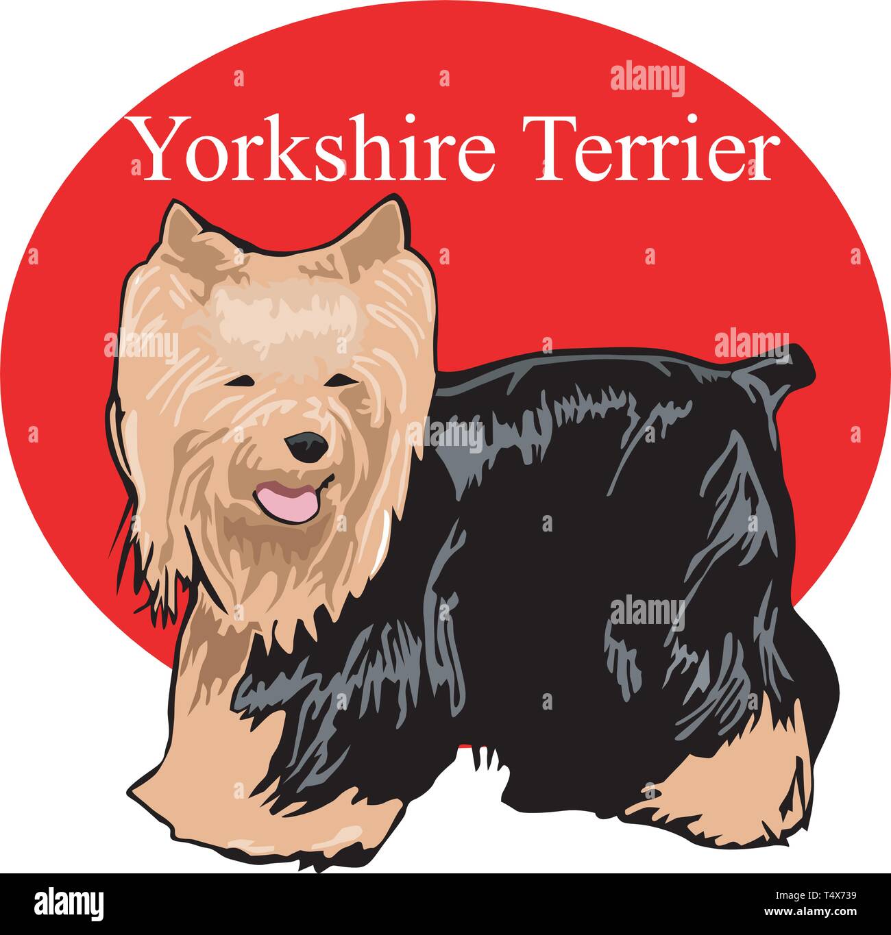 Yorkshire Terrier Vector Illustration Stock Vector Image & Art - Alamy