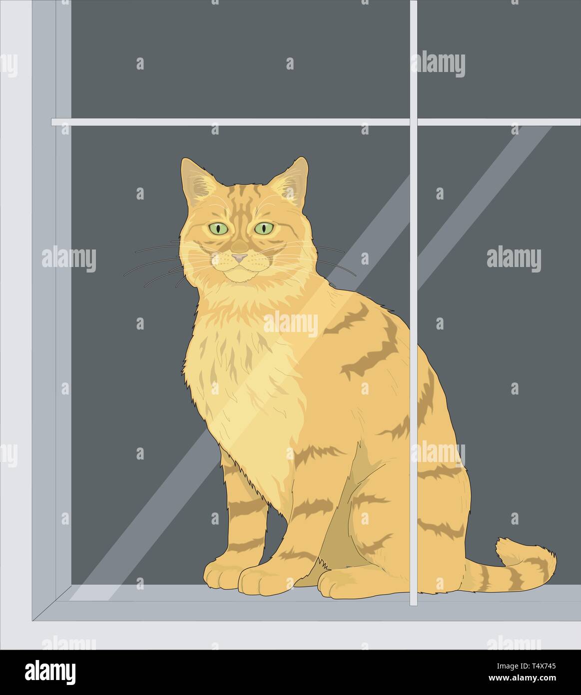 Pets cat cats in window hi-res stock photography and images - Alamy