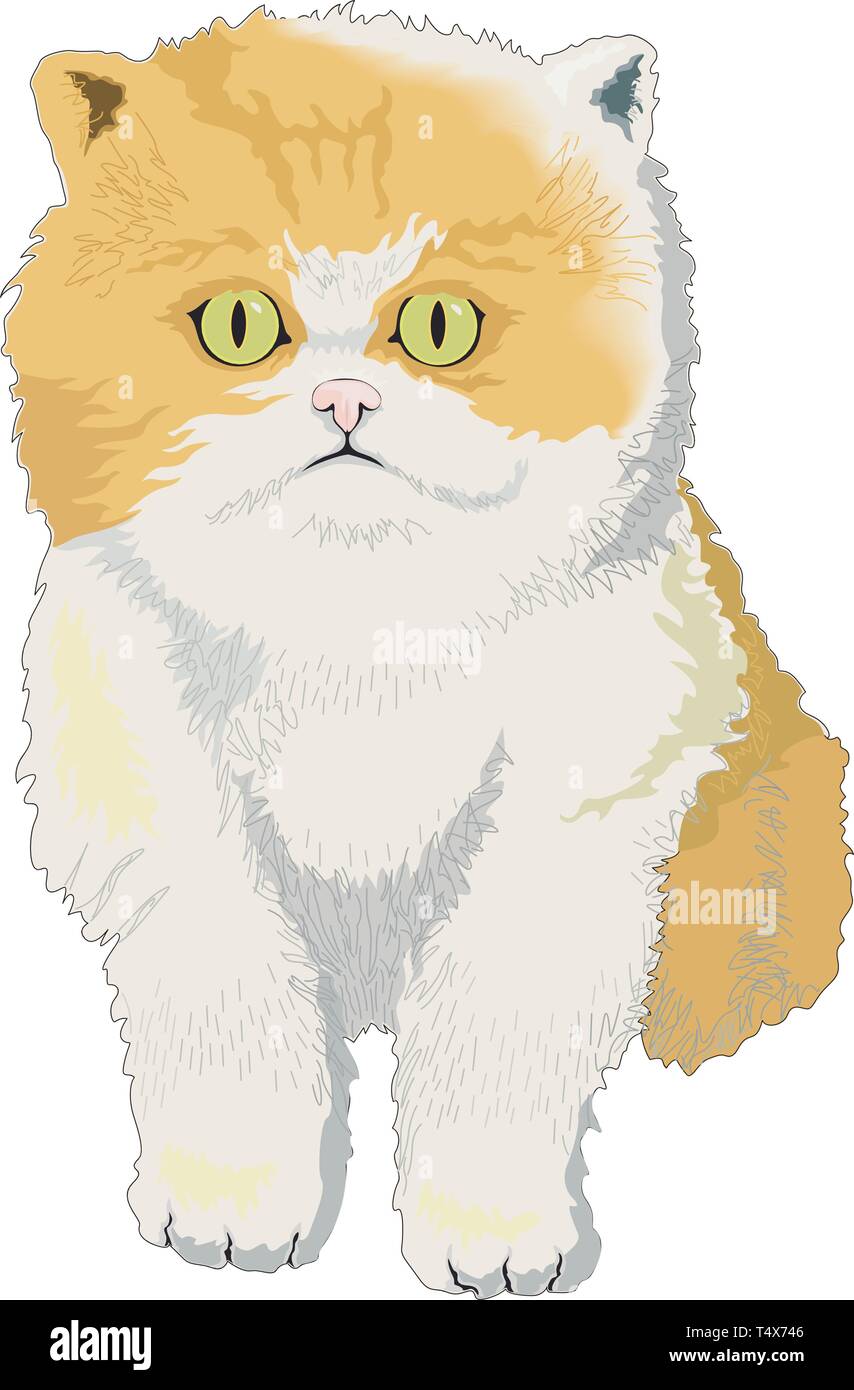Cat Vector Illustration Stock Vector Image & Art - Alamy
