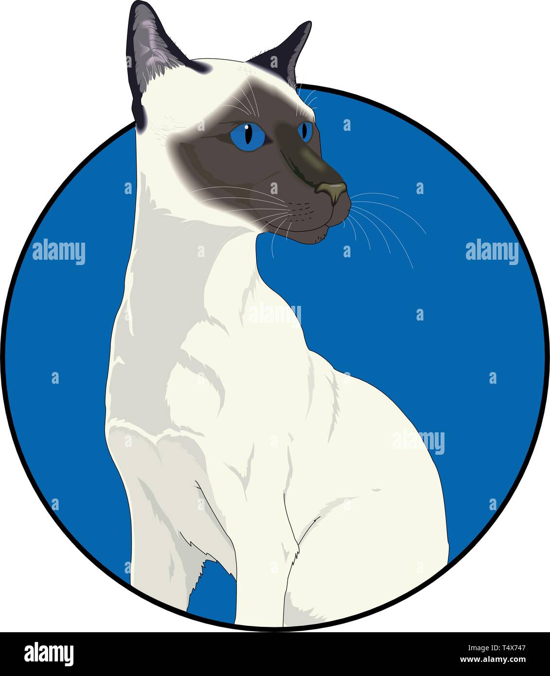 Siamese Cat Vector Illustration Stock Vector Image & Art - Alamy