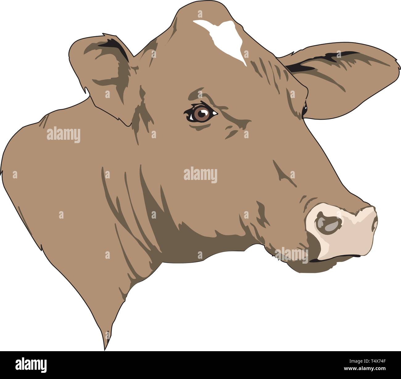 Cow Head Vector Illustration Stock Vector Image & Art - Alamy