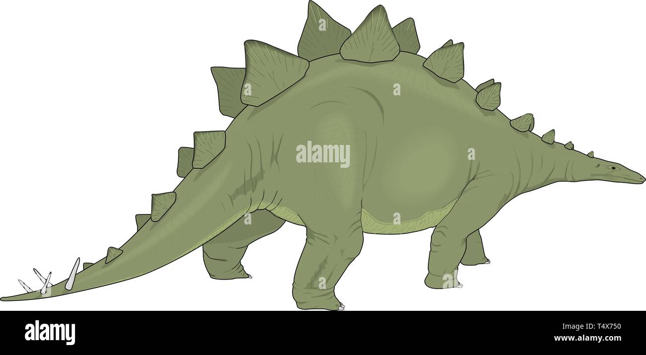 Stegosaurus Dinosaur Vector Illustration Stock Vector Image & Art - Alamy