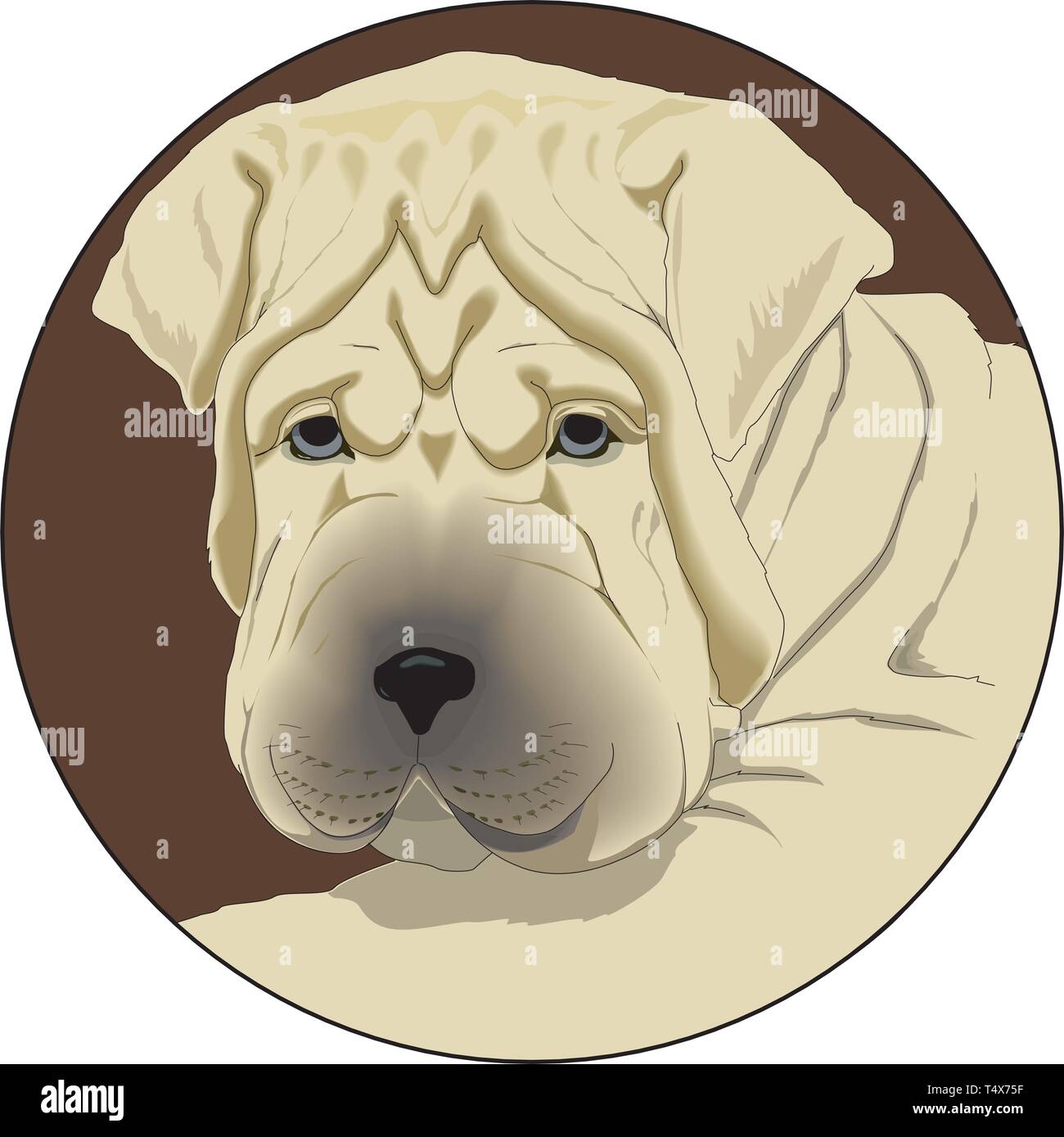 Shar Pei Vector Illustration Stock Vector Image & Art - Alamy