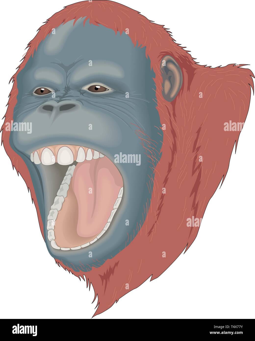 Angry Orangutan Drawing