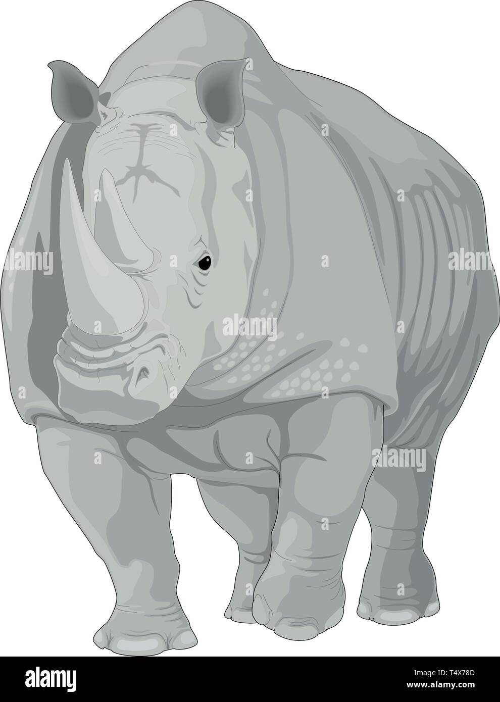 Rhinoceros Walking Vector Illustration Stock Vector Image & Art - Alamy