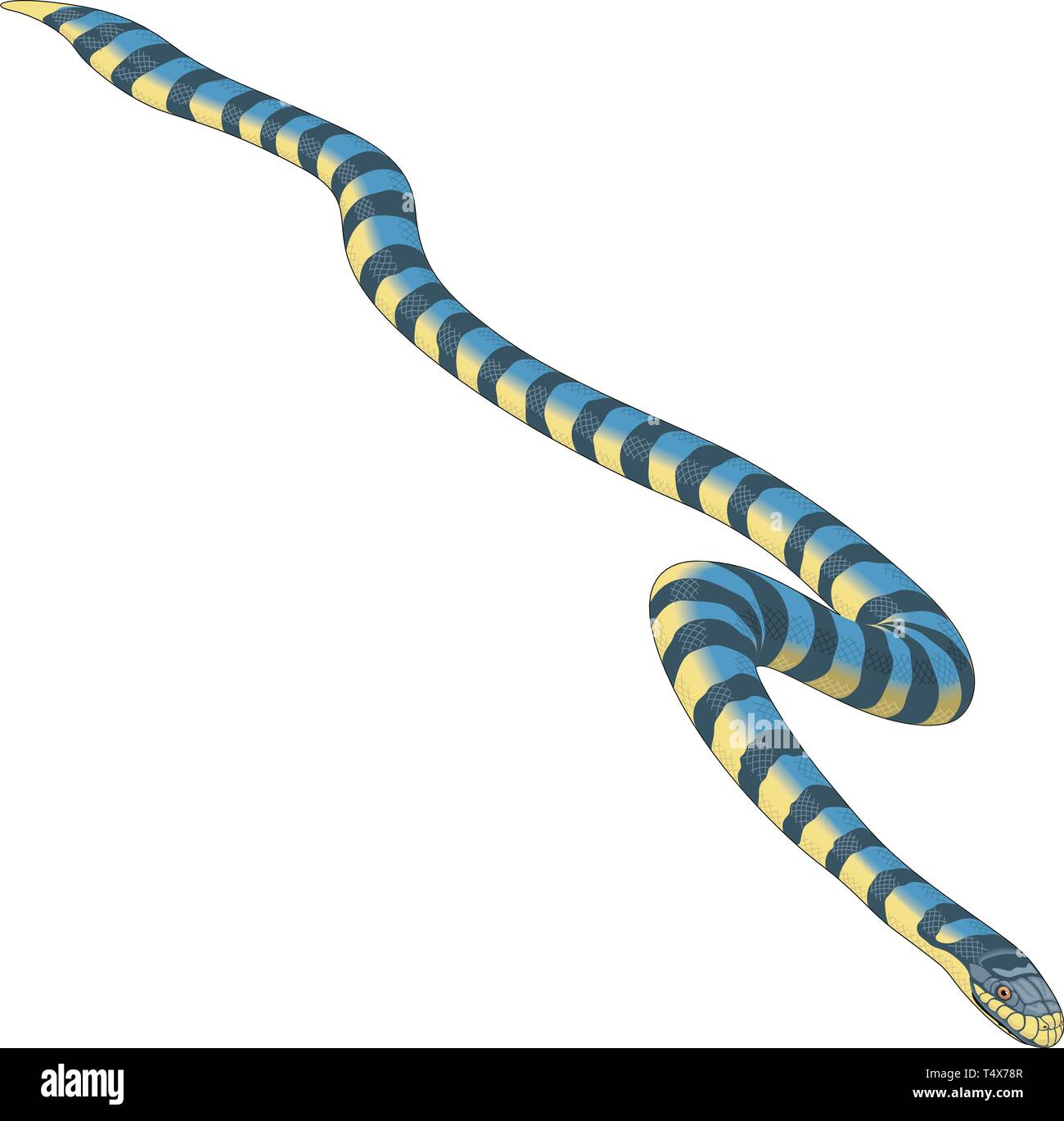 Sea Snake Vector Illustration Stock Vector Image & Art - Alamy