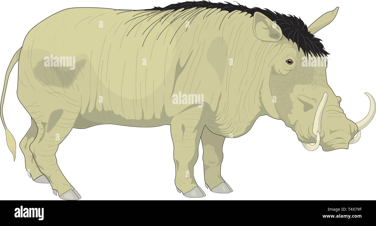 Warthog Standing Vector Illustration Stock Vector Image & Art - Alamy
