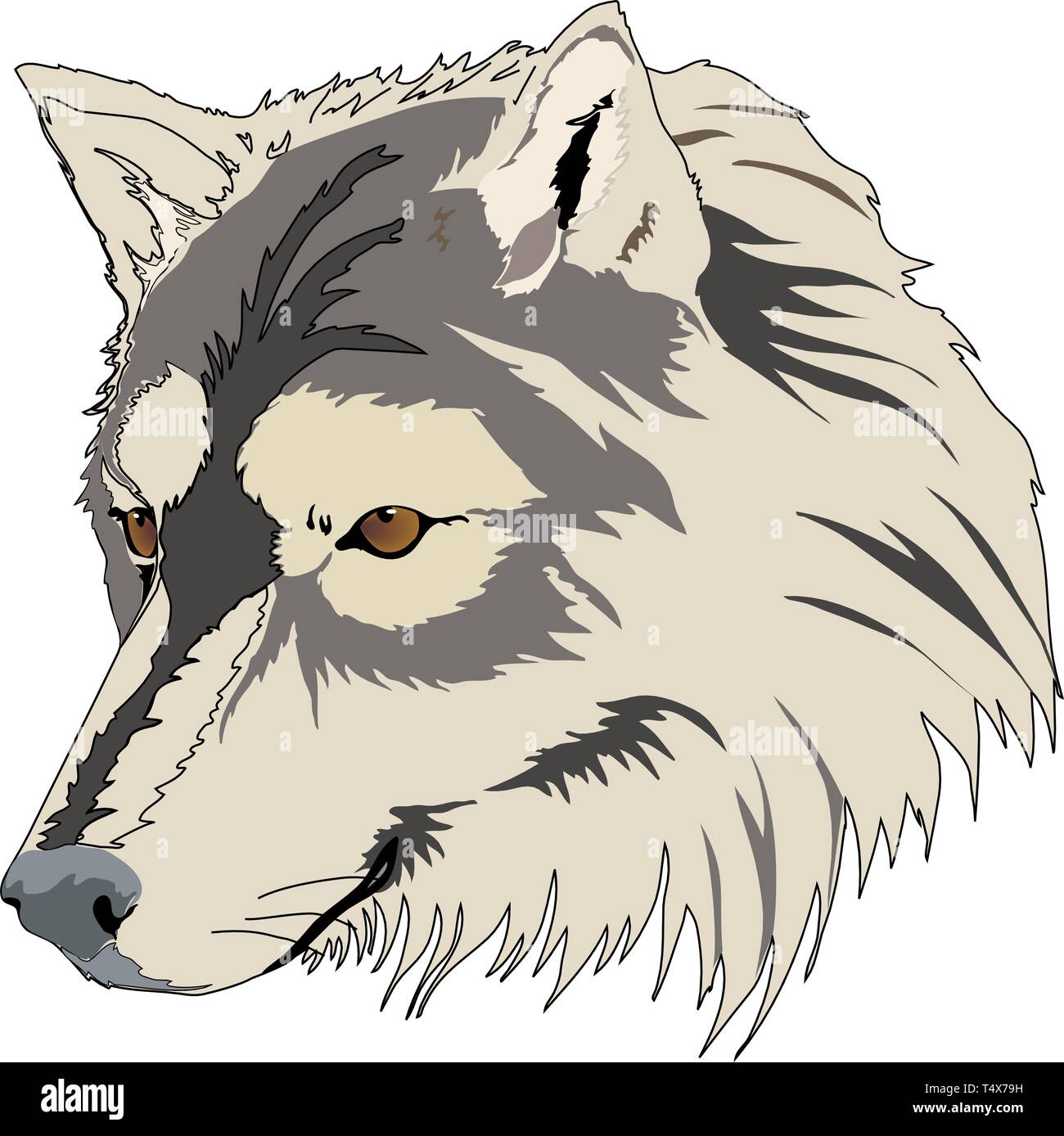 Wolf Head Vector Illustration Stock Vector Image & Art - Alamy