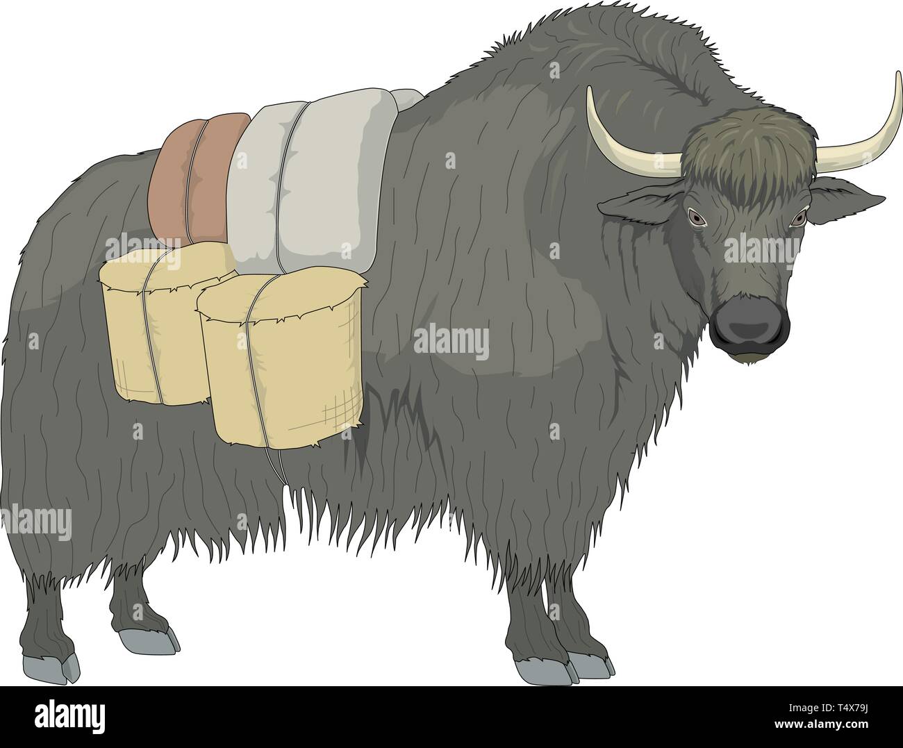 Yak Standing Vector Illustration Stock Vector Image & Art - Alamy