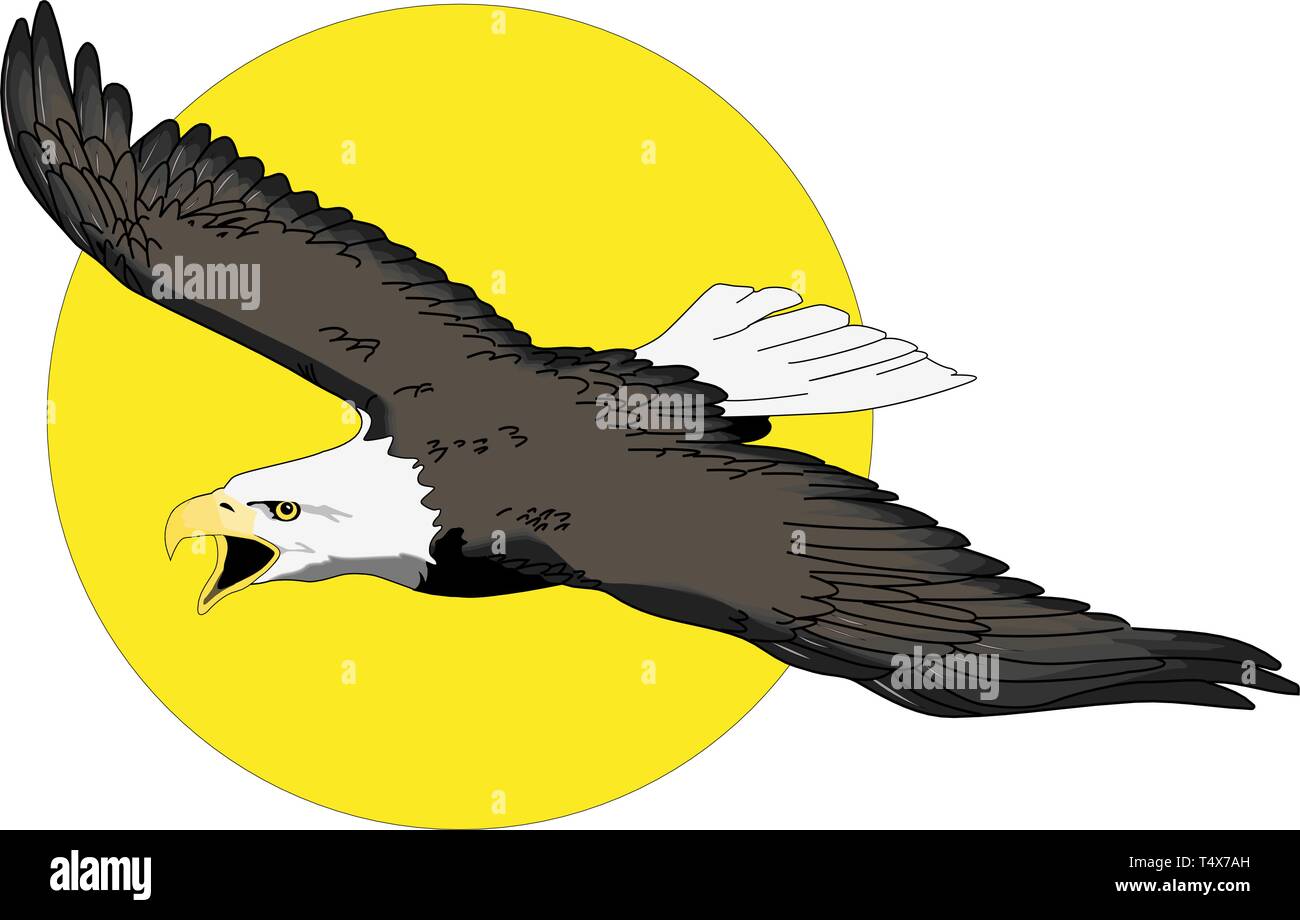Eagle Flying with Sun Vector Illustration Stock Vector Image & Art - Alamy