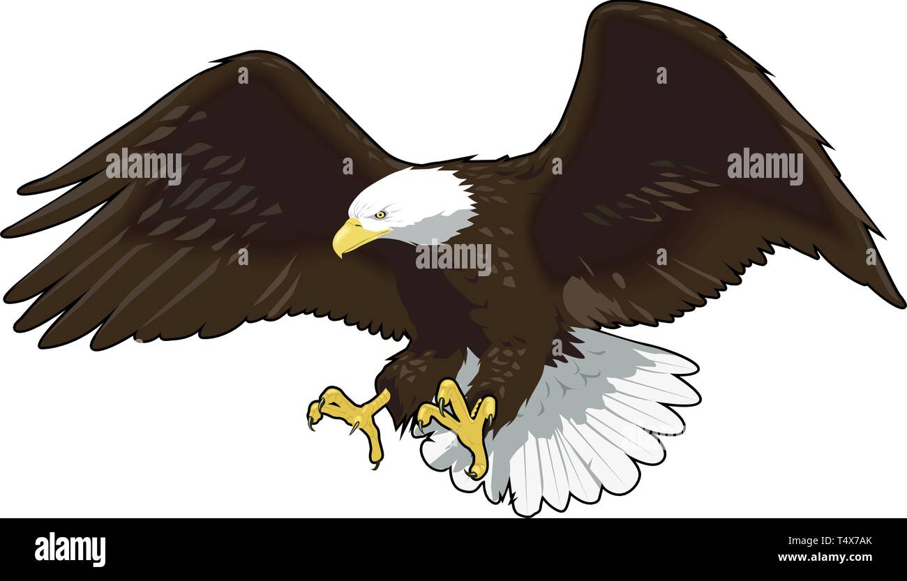 Eagle Landing Vector Illustration Stock Vector Image & Art - Alamy Eagle Landing Vector Illustration Stock Vector Image & Art - Alamy