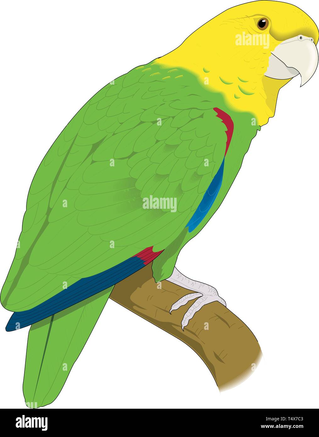 Bird perched illustration Cut Out Stock Images & Pictures - Alamy