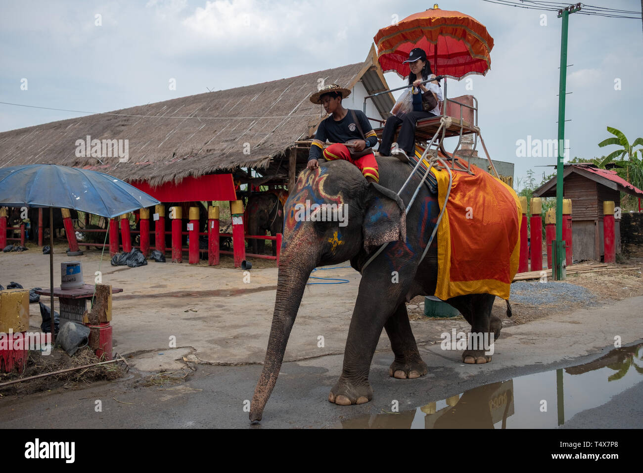 Ayothaya Floating Market Stock Photo - Alamy