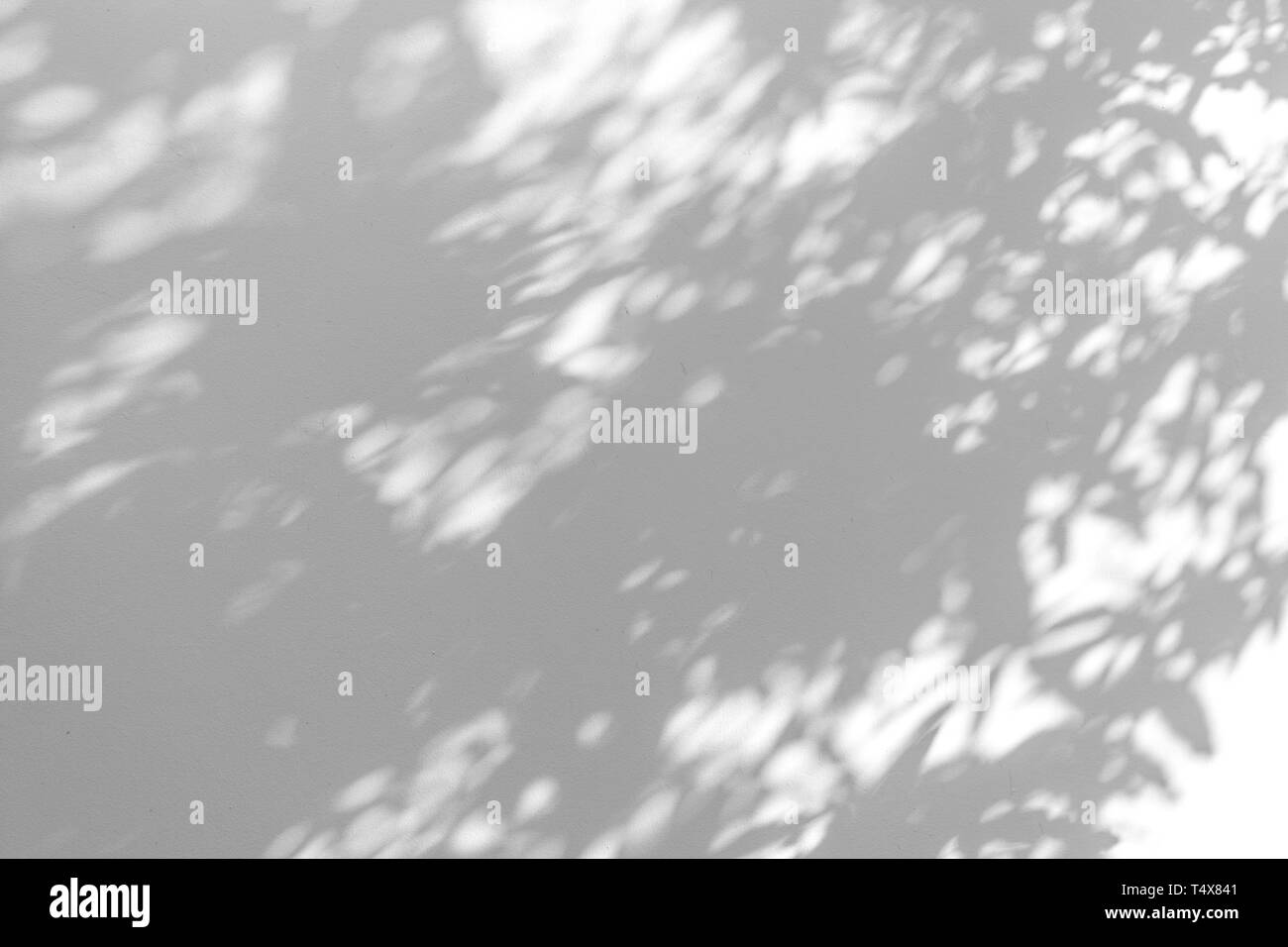 Blur background light shadow hi-res stock photography and images - Alamy