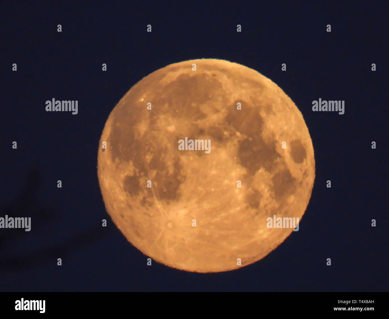 a yellow full moon in the morning sky Stock Photo - Alamy