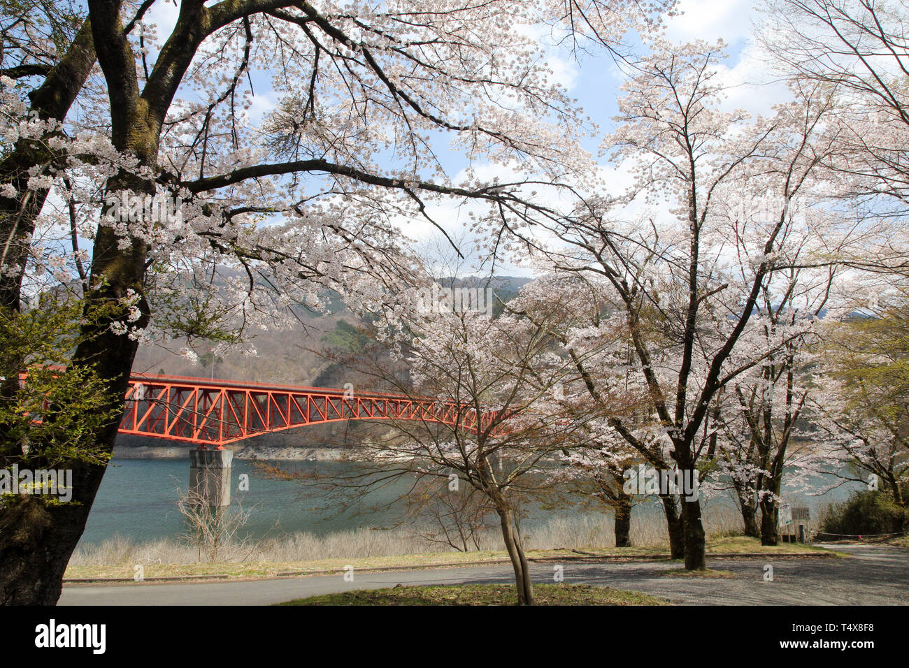 Kusaki Park, along Romantic Road, Japan Stock Photo - Alamy