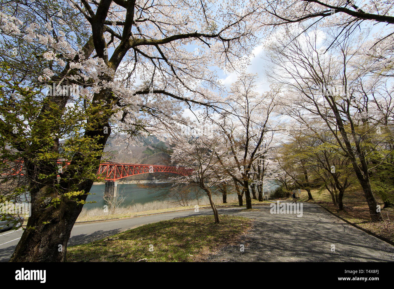 Kusaki Park, along Romantic Road, Japan Stock Photo - Alamy