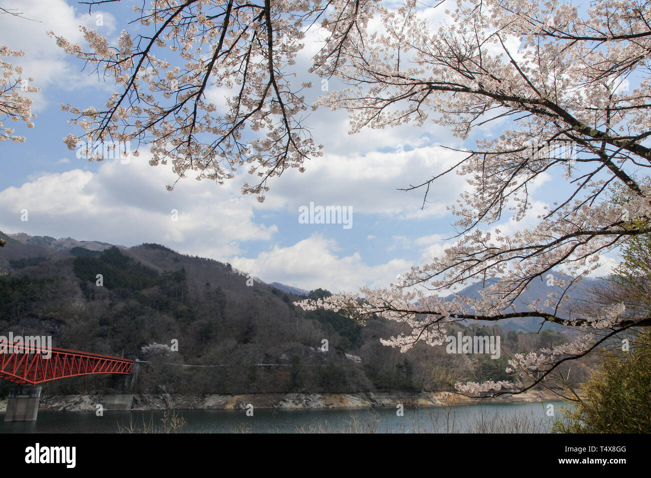 Kusaki Park, along Romantic Road, Japan Stock Photo - Alamy
