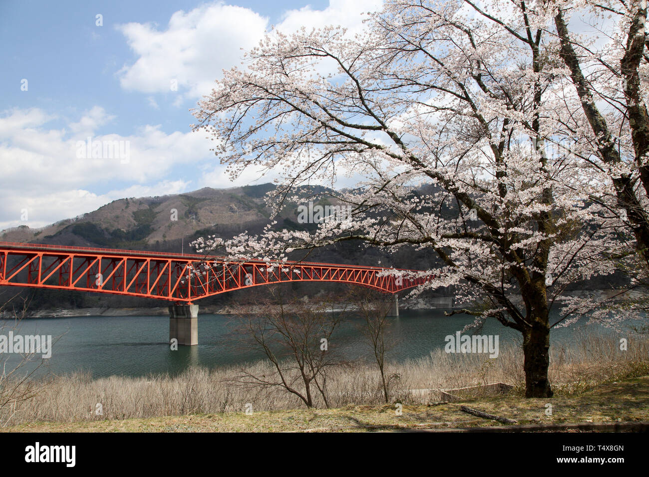 Kusaki Park, along Romantic Road, Japan Stock Photo - Alamy