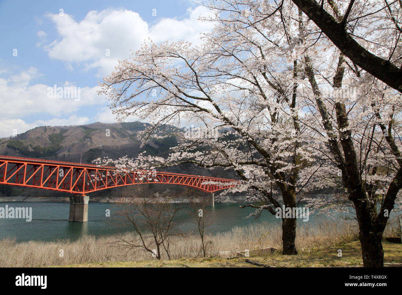 Kusaki Park, along Romantic Road, Japan Stock Photo - Alamy