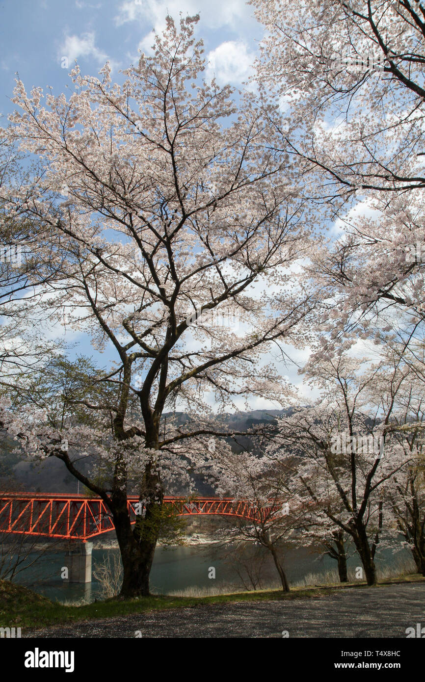 Kusaki Park, along Romantic Road, Japan Stock Photo - Alamy