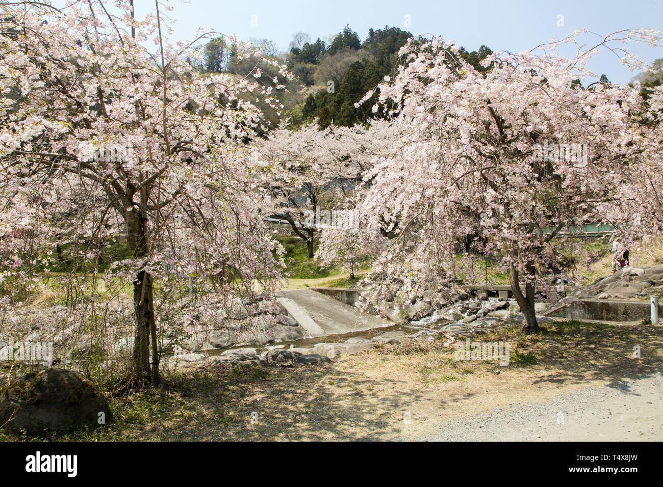 Gumma Prefecture High Resolution Stock Photography and Images - Alamy