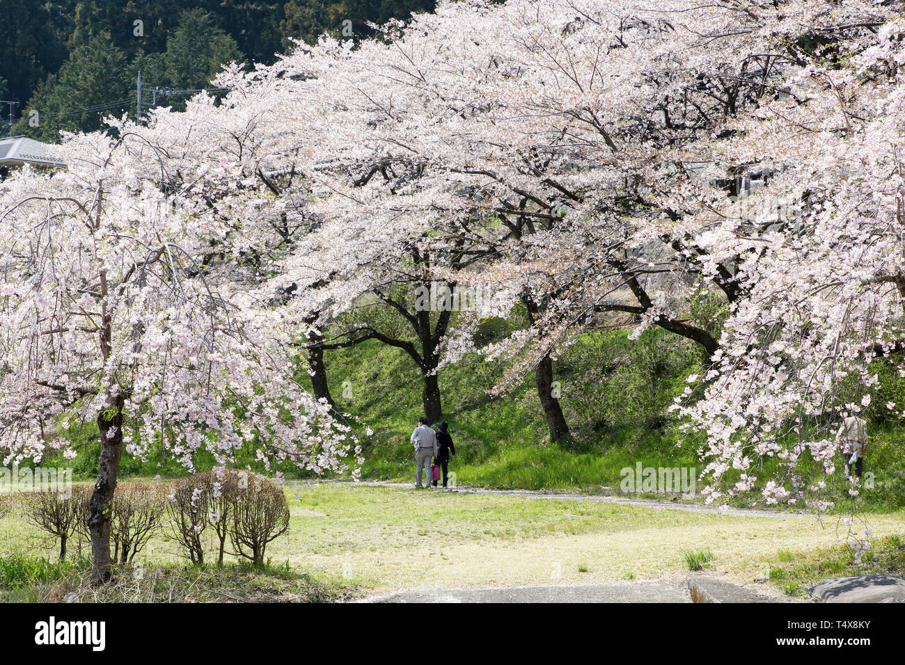 Gumma prefecture hi-res stock photography and images - Alamy