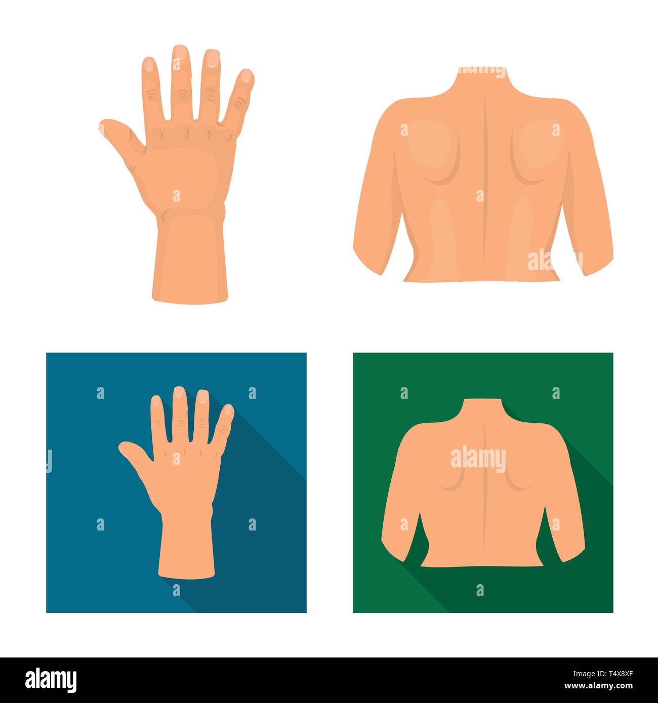 Isolated object of body and part sign. Set of body and anatomy vector ...