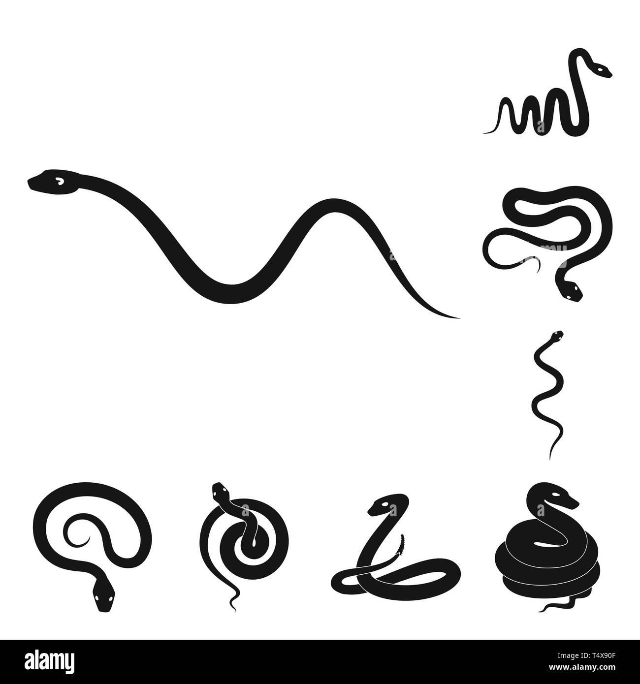 snake,viper,tail,python,coral,white,spiral,jungle,forest,red,animal ...