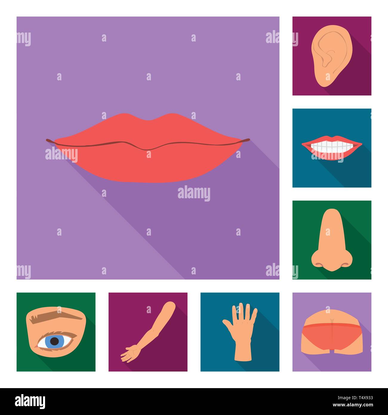 Vector illustration of body and part logo. Set of body and anatomy ...