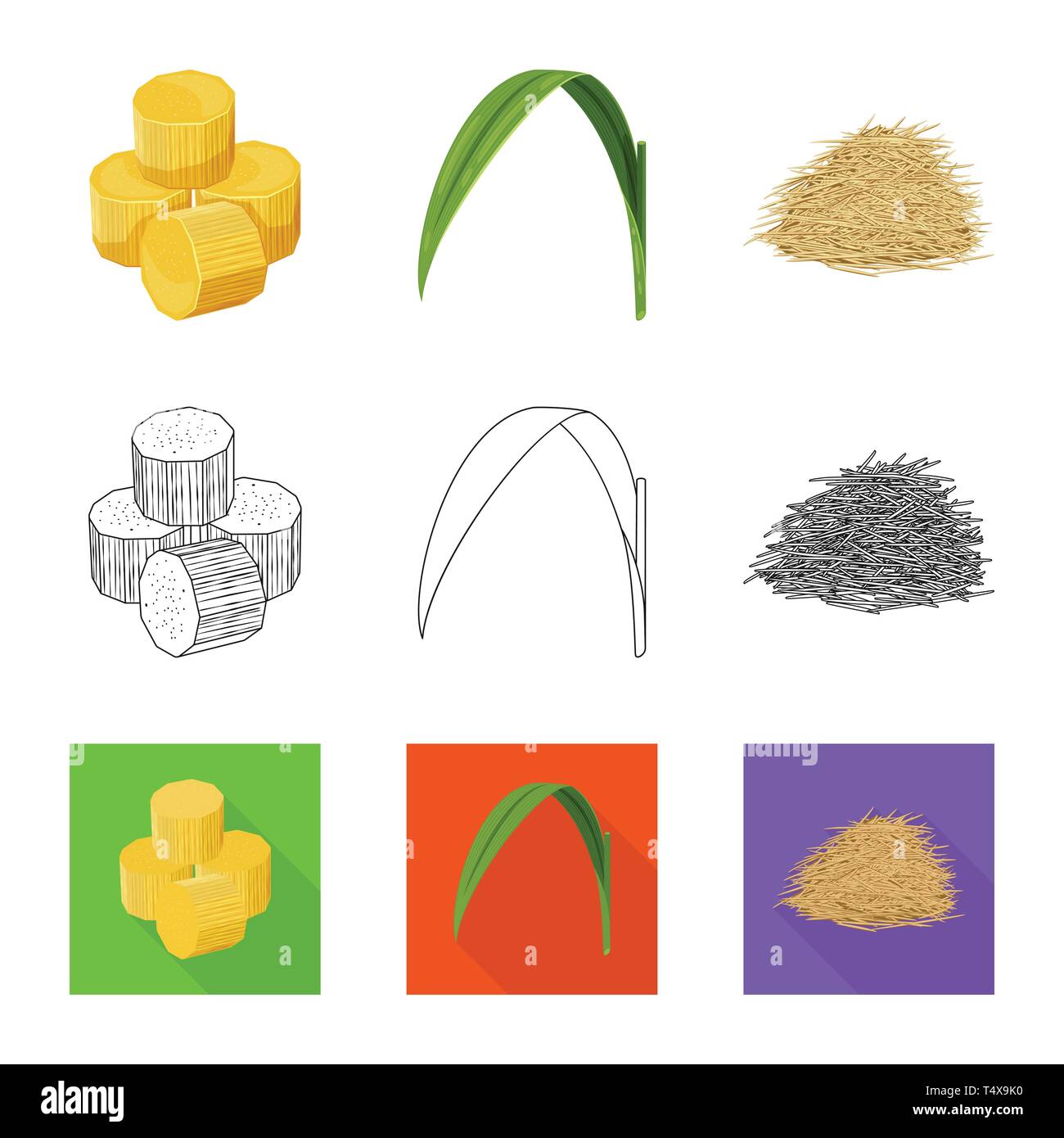 Sugarcane bagasse Stock Vector Images - Alamy