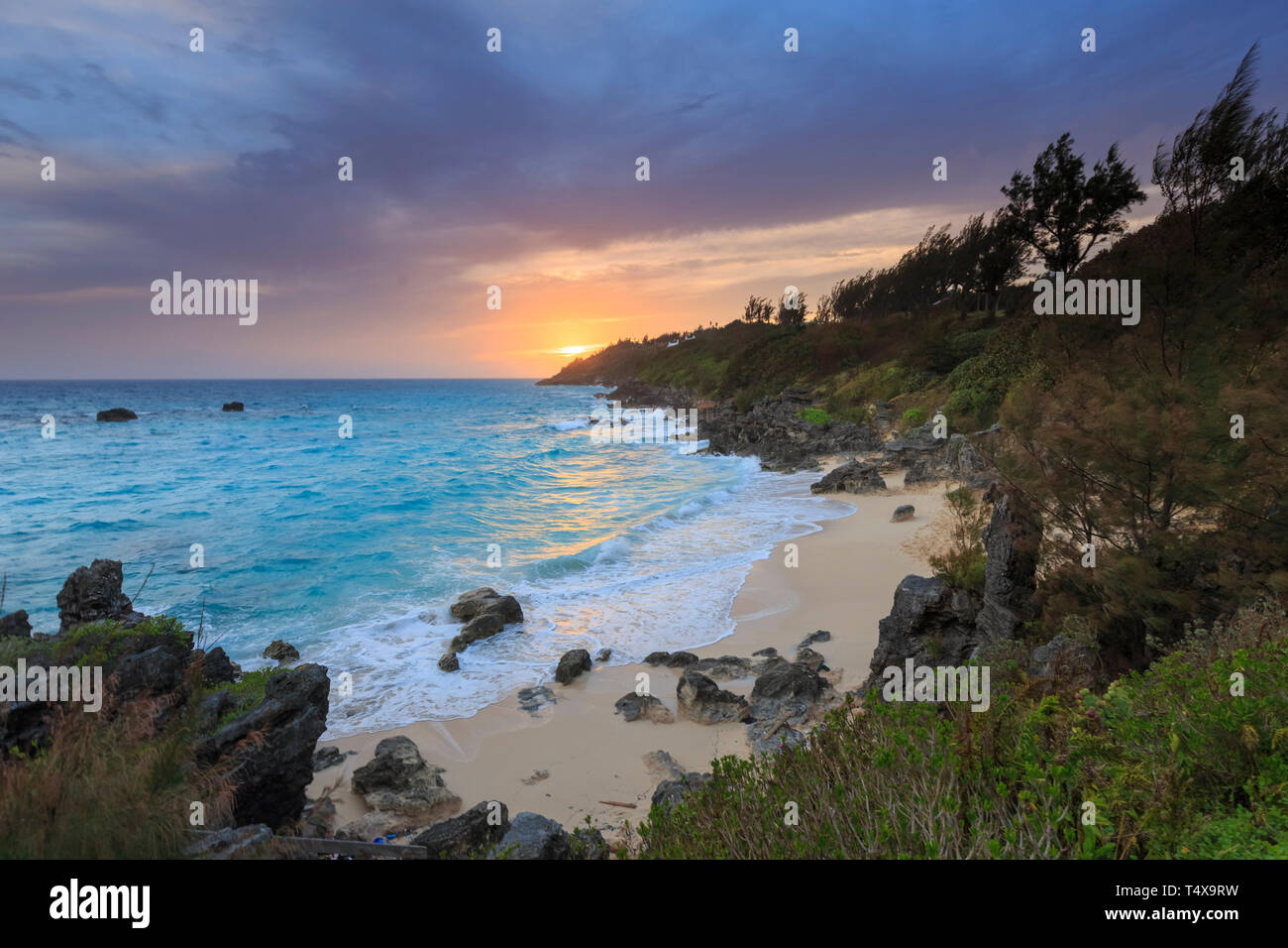 Gulf stream park hi-res stock photography and images - Alamy