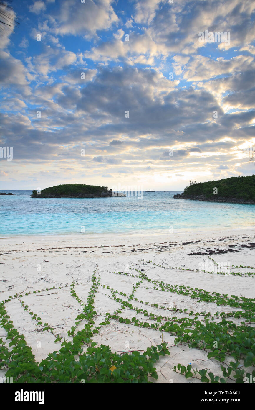 Bermuda, South Coast, Cooper's Island, Turtle Beach Stock Photo - Alamy