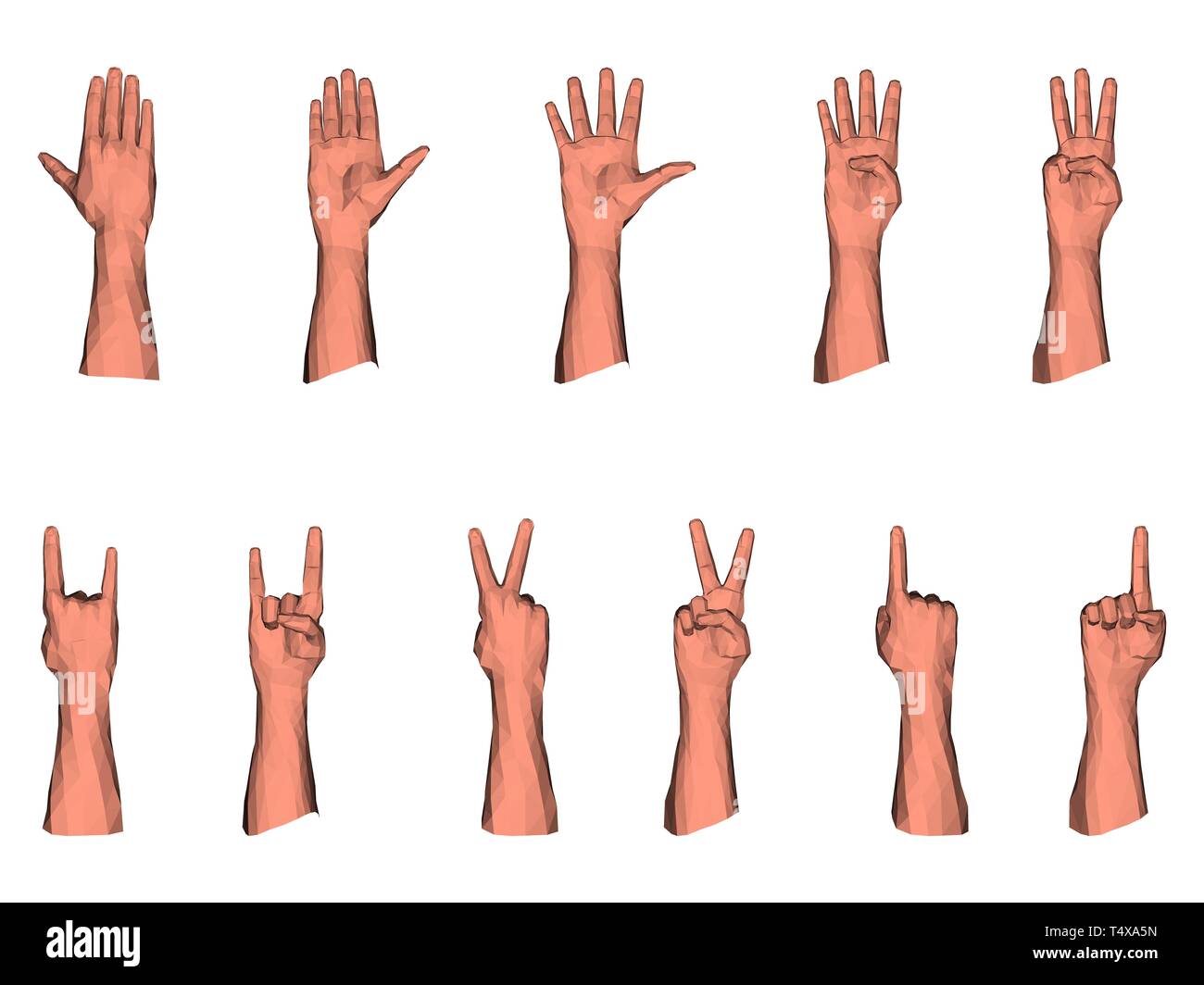 Polygon five finger hi-res stock photography and images - Alamy