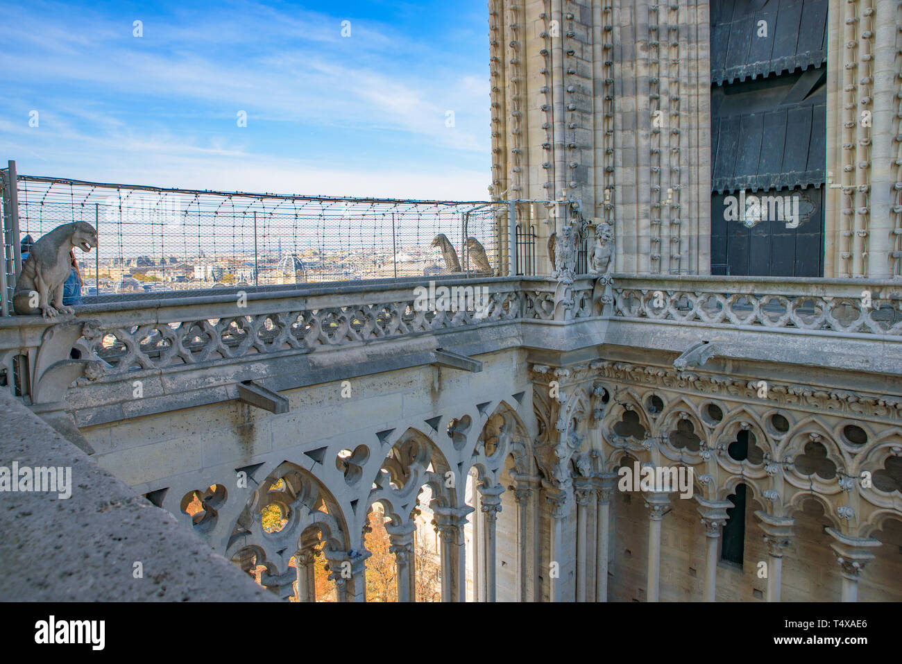 The walkway at the top of Notre Dame, Paris, France Stock Photo - Alamy