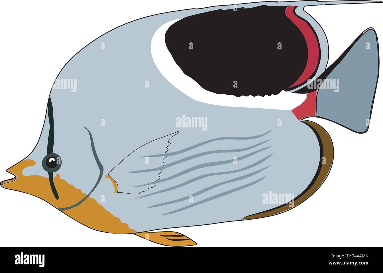 Saddleback Stock Vector Images - Alamy