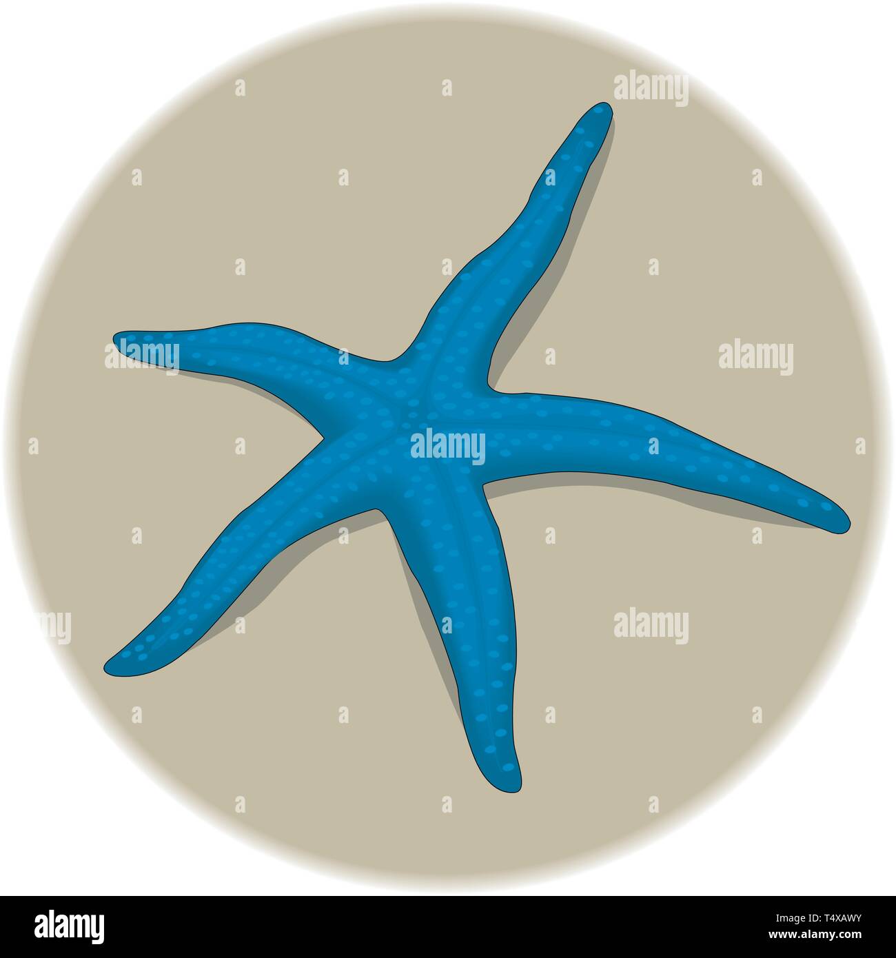 Starfish Vector Illustration Stock Vector Image & Art - Alamy