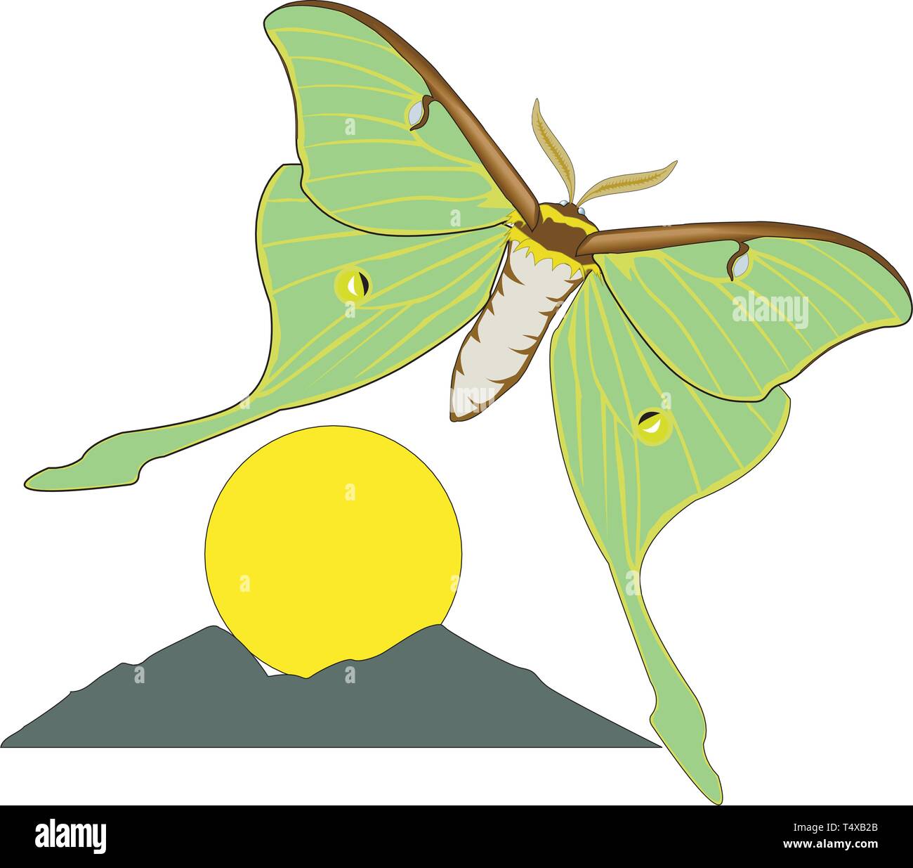 Luna moth Stock Vector Images - Alamy