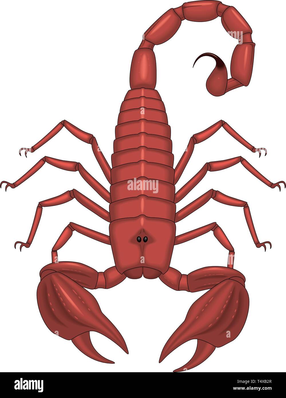 Red Scorpion Vector